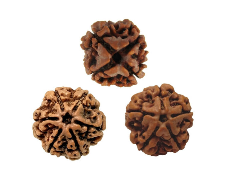 Original Rudraksha | Gems For Everyone